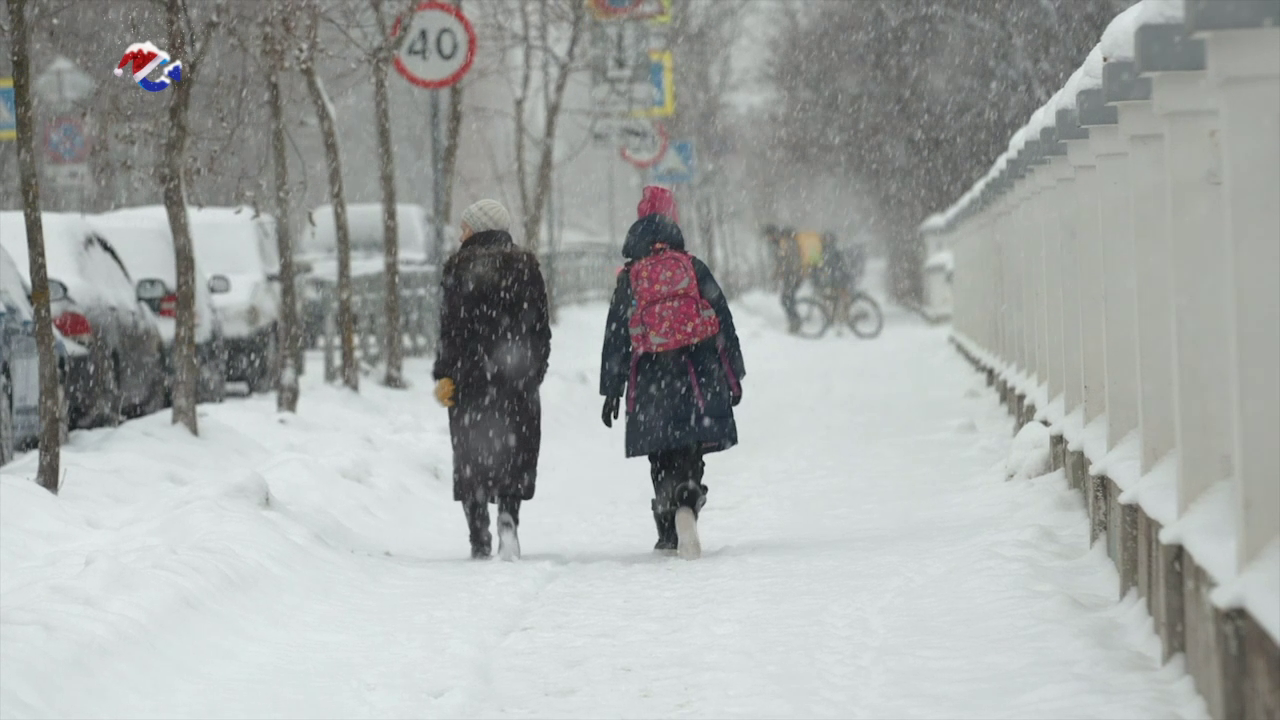 50 миллионов рублей выделили Петрозаводску на уборку снега