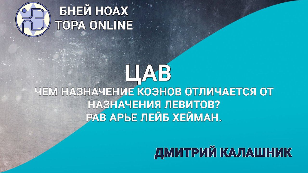 Чем назначение коэнов отличается от назначения левитов? Рав Арье Лейб Хейман. Недельная глава Цав