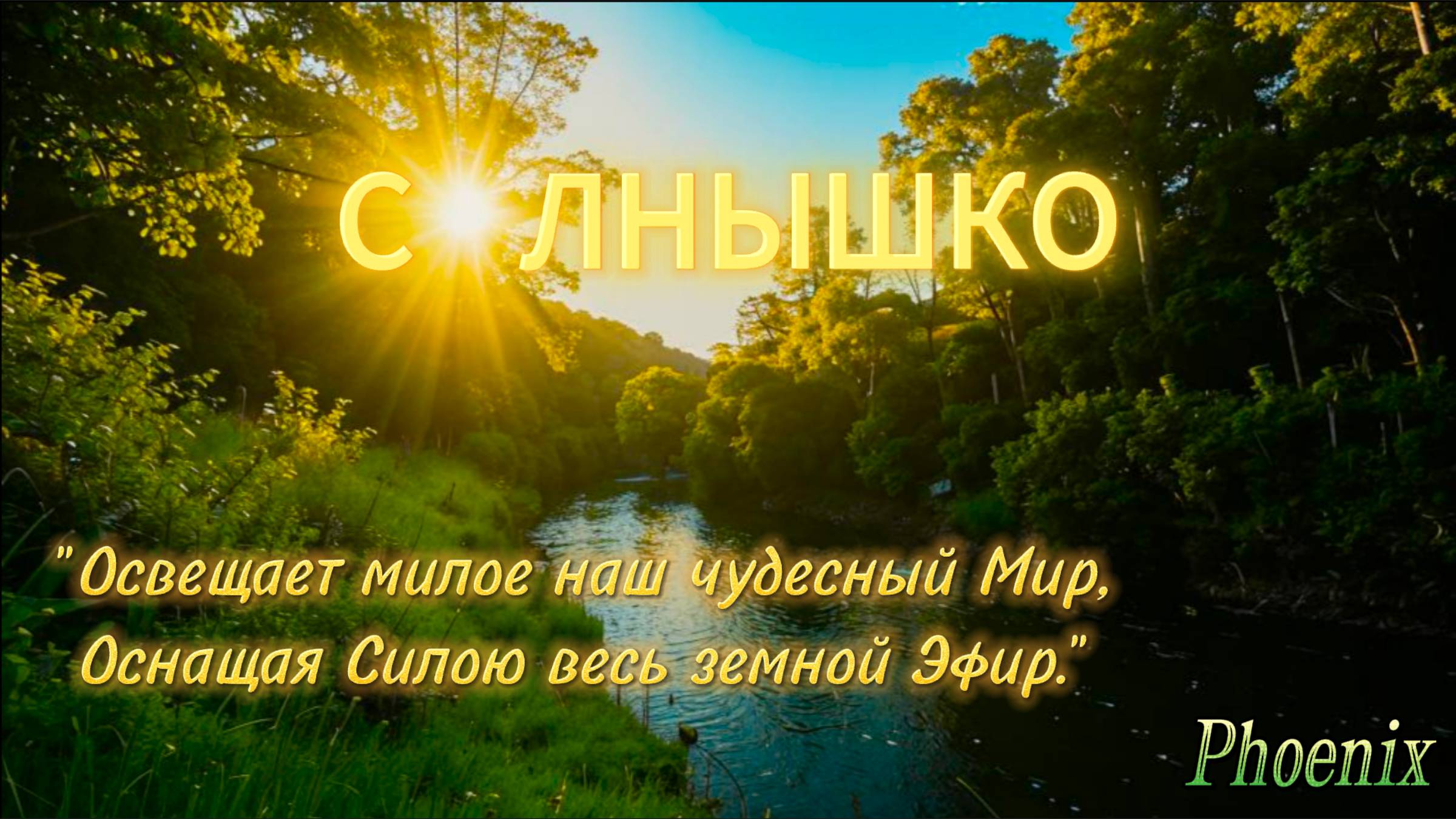 CОЛНЫШКО - Поэт Phoenix