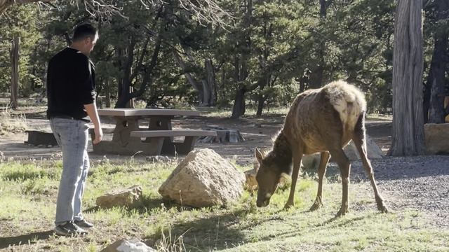 NWK24 - Trip to USA (отпуск с командой FizioCentr)