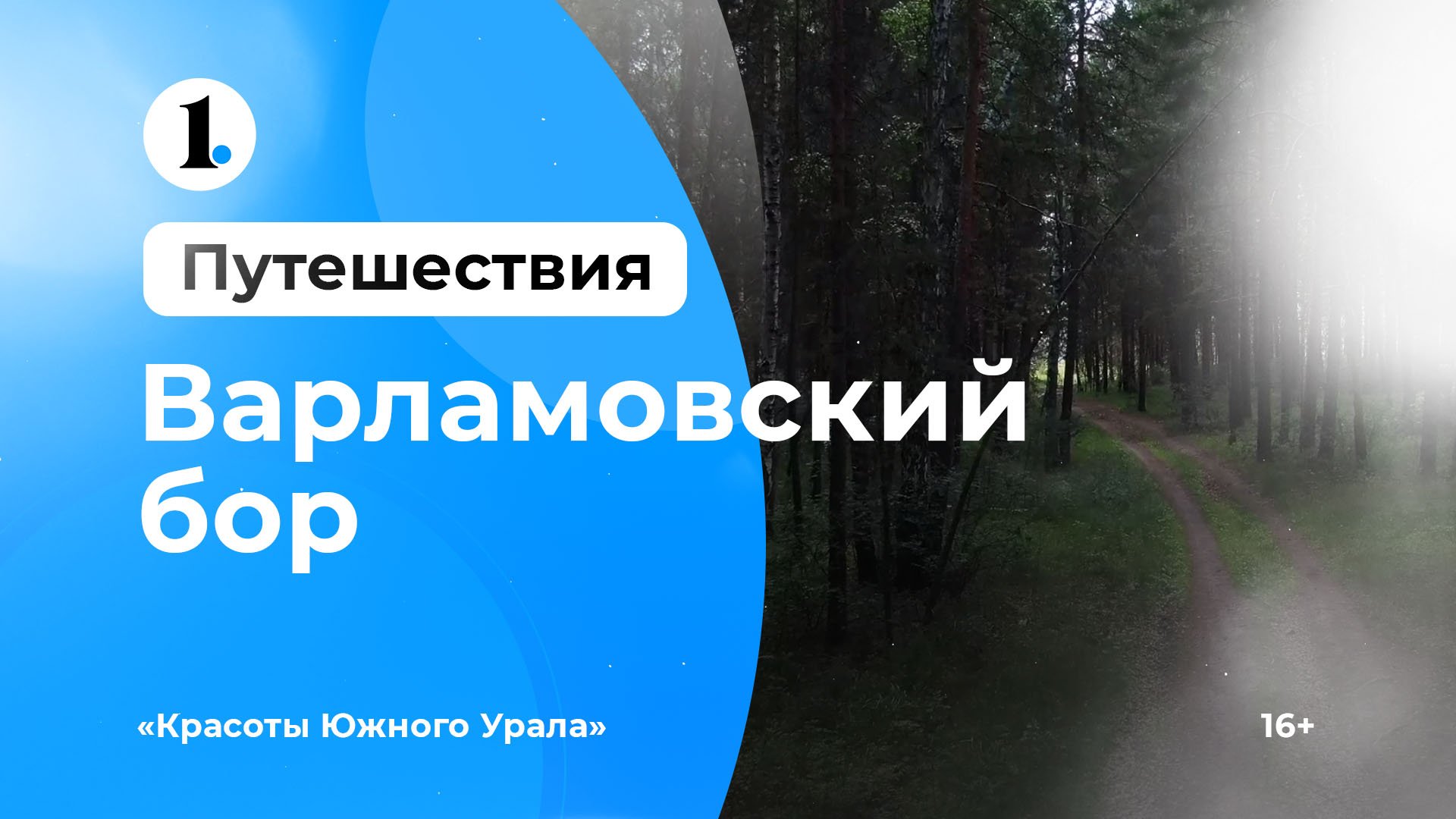 Красоты Южного Урала — Варламовский бор