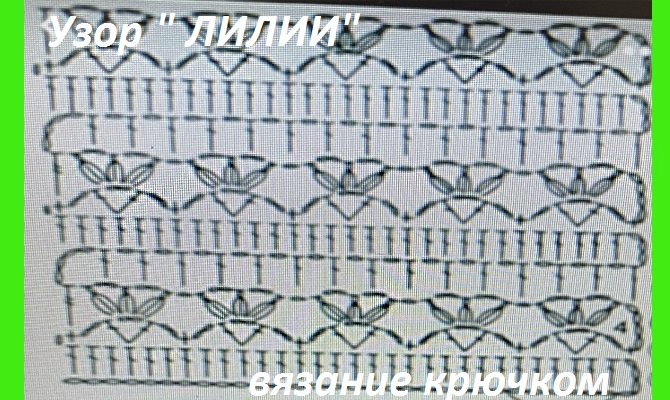 Узор  "Лилия " для кофточки , жилета ,кардигана , вязание крючком