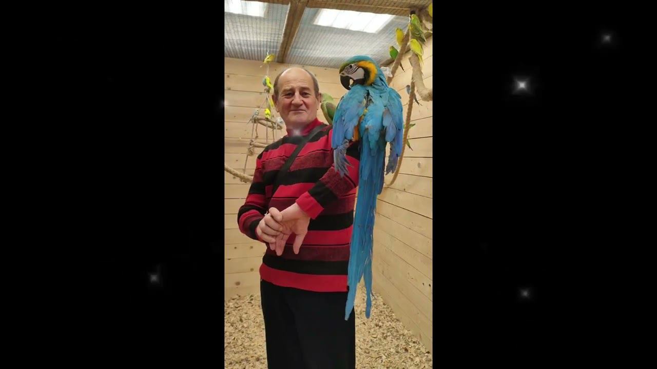 В гостях у попугайчиков))