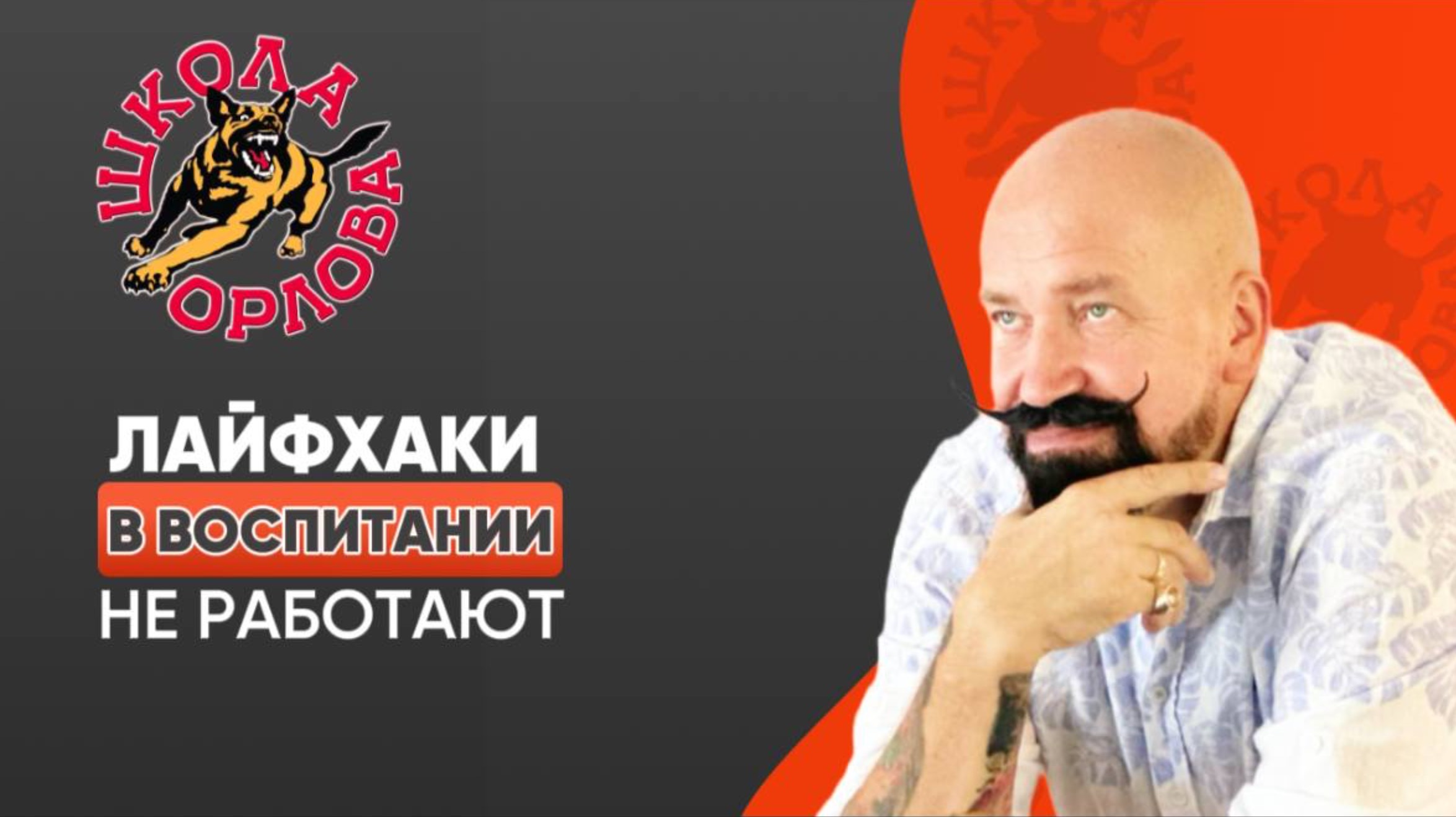 Собака=личность.Почему лайфхаки "для всех" не работают