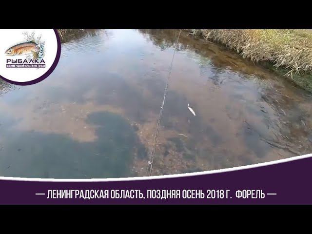 Рыбалка Форель Ленинградская область 2018