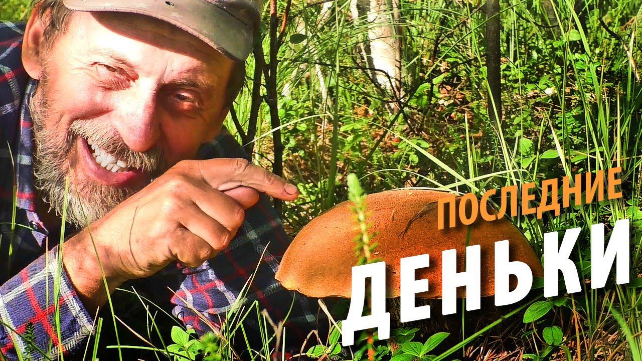 #20 Последние деньки на Белом море |  Блинчики с мидиями | Поход 2021