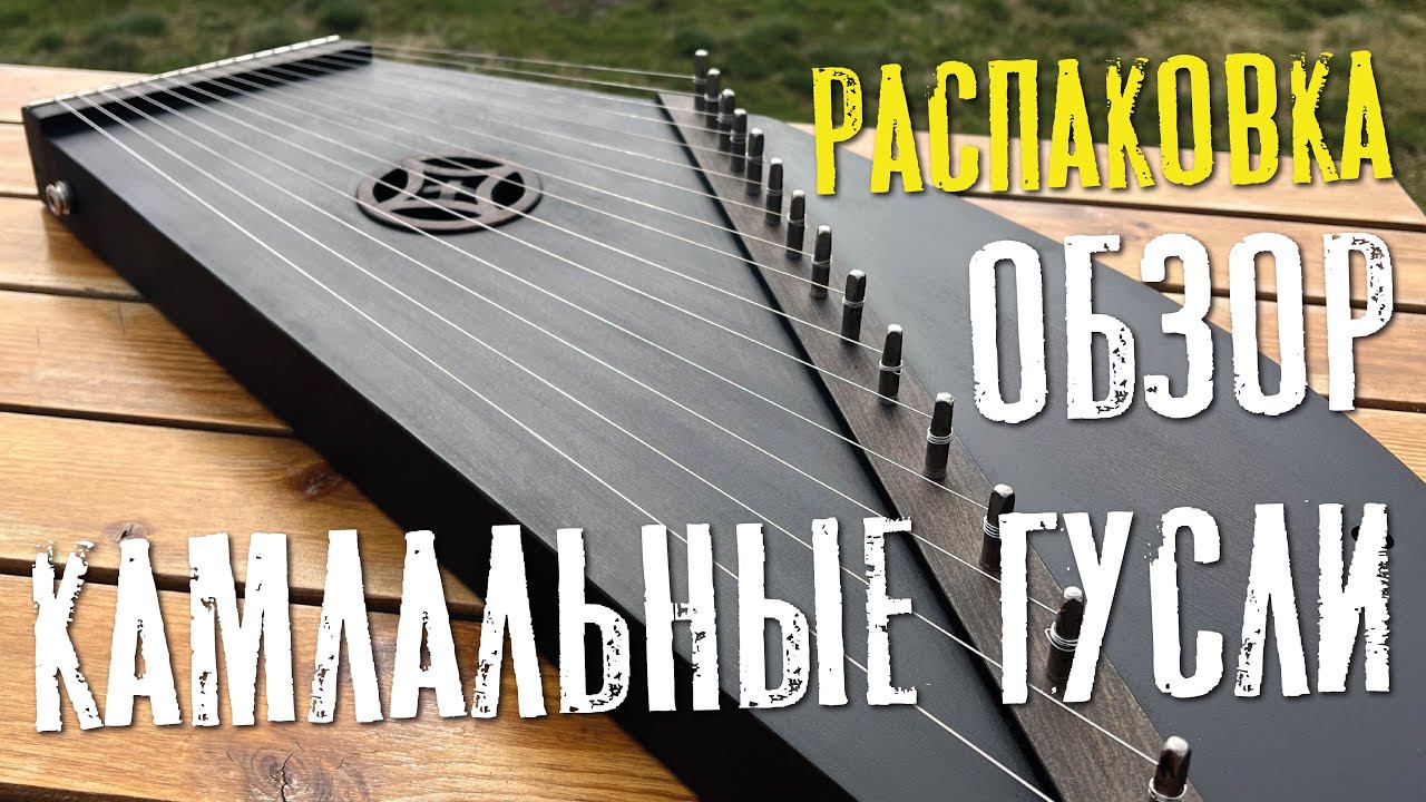 Камлальные ГУСЛИ | Распаковка и обзор 15-струнного чуда от Сергея Дедюхина | Р. Правдухин