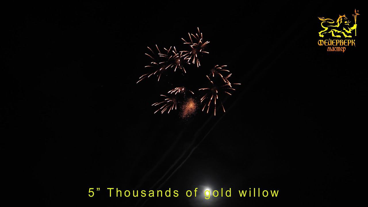 5" Thousands of gold willow