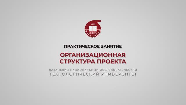 Гадельшина С.В. Организационная структура проекта