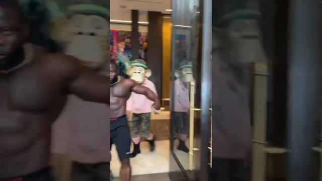 Устрой дорогу официальному Доктору Бомбею