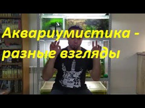 А как еще может быть все устроено! Разные взгляды на аквариумистику. (Архив от 24.09.2021)