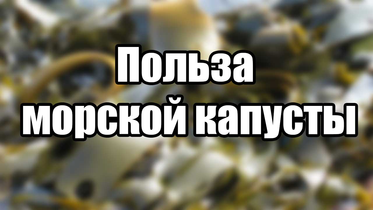 Польза морской капусты. Польза и вред ламинарии для организма. Противопоказания.