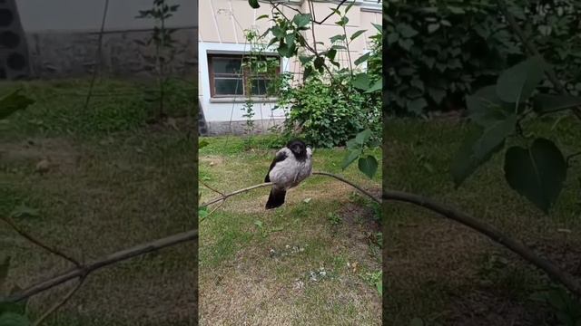 Сыр уже не вернуть