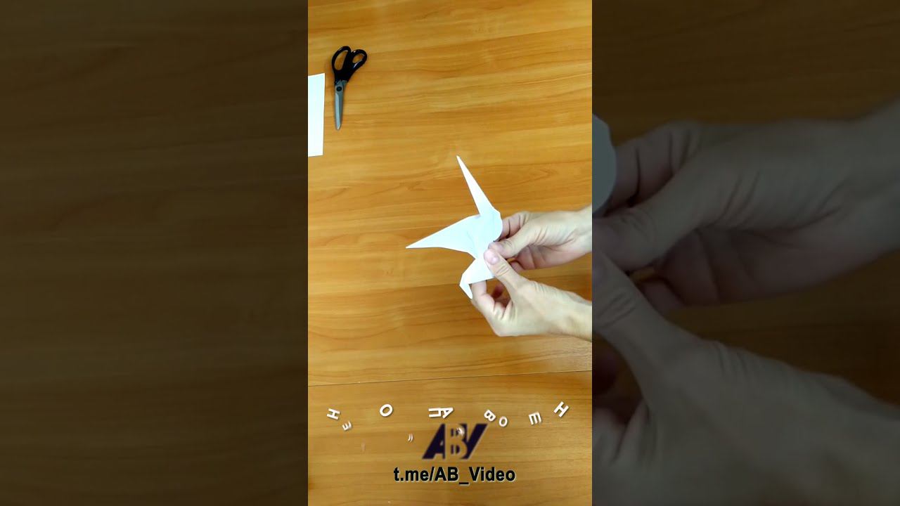 Птица Удачи. Креативное видео от Анны Булыгиной