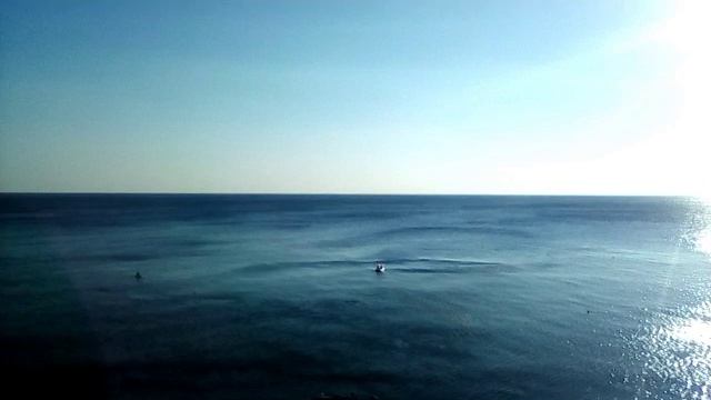 Анапа. Дельфины на Высоком берегу.