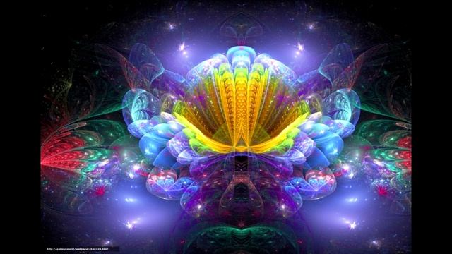 Библия. 52-08. Евангелие по Марку (08). В те дни, когда собралось весьма много народа.