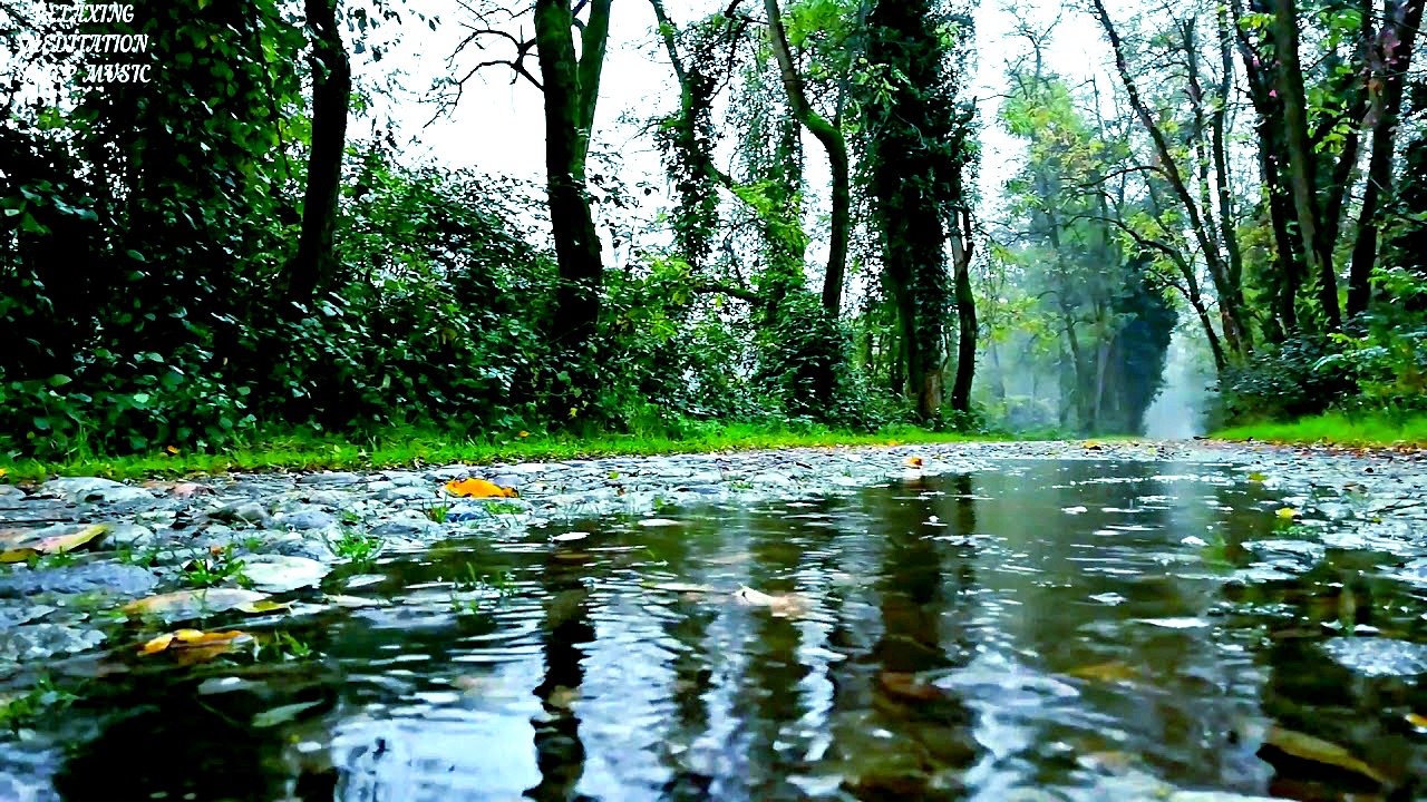 ?Успокаивающие Звуки Дождя, Щебетание Птиц для Сна, Медитации и Расслабления. Звуки Природы.