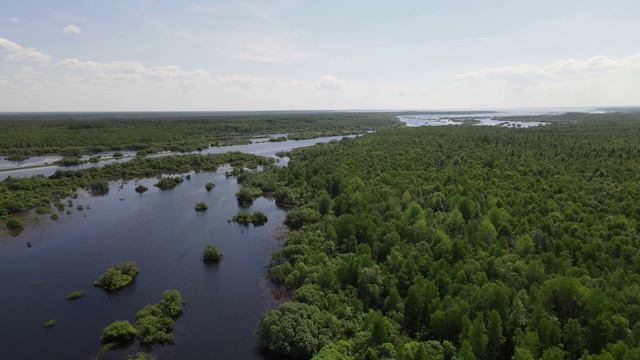 Устье реки Пяшма