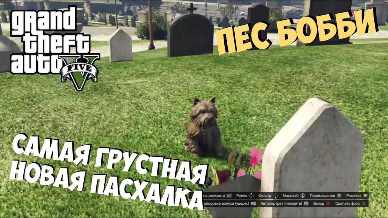 Я ПЛАКАЛ! Новая пасхалка в GTA 5