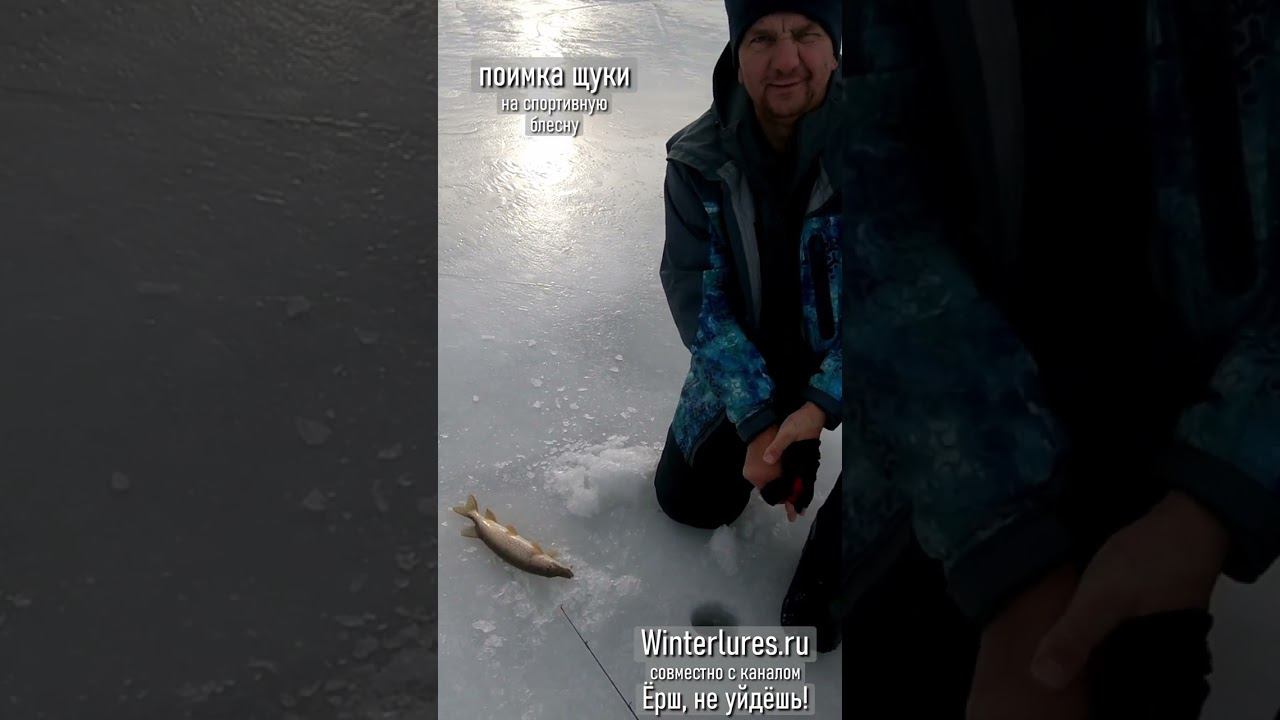 Щука на спортивную блесну