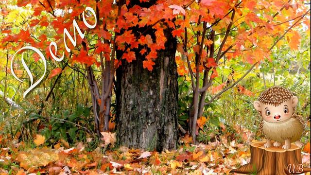 Осенние загадки.Демо.