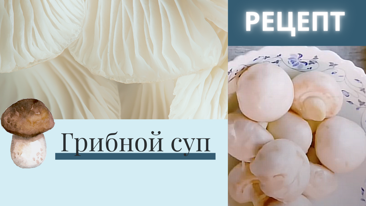 Грибной суп рецепт