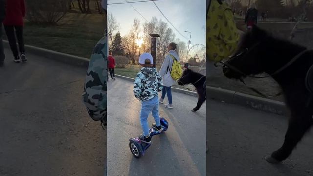 Тимур на коне