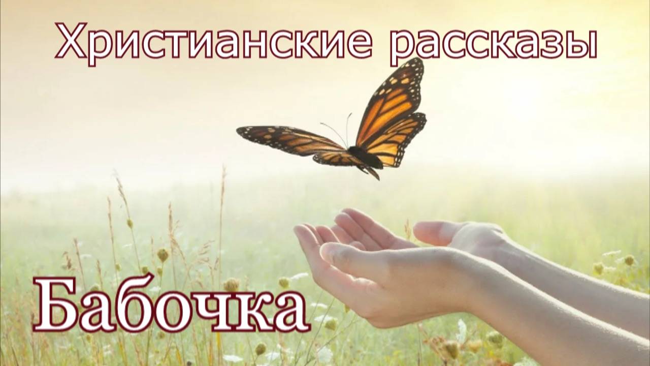 "Бабочка." - Христианский рассказ.