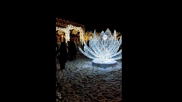 Волшебный лес у Законодательного собрания