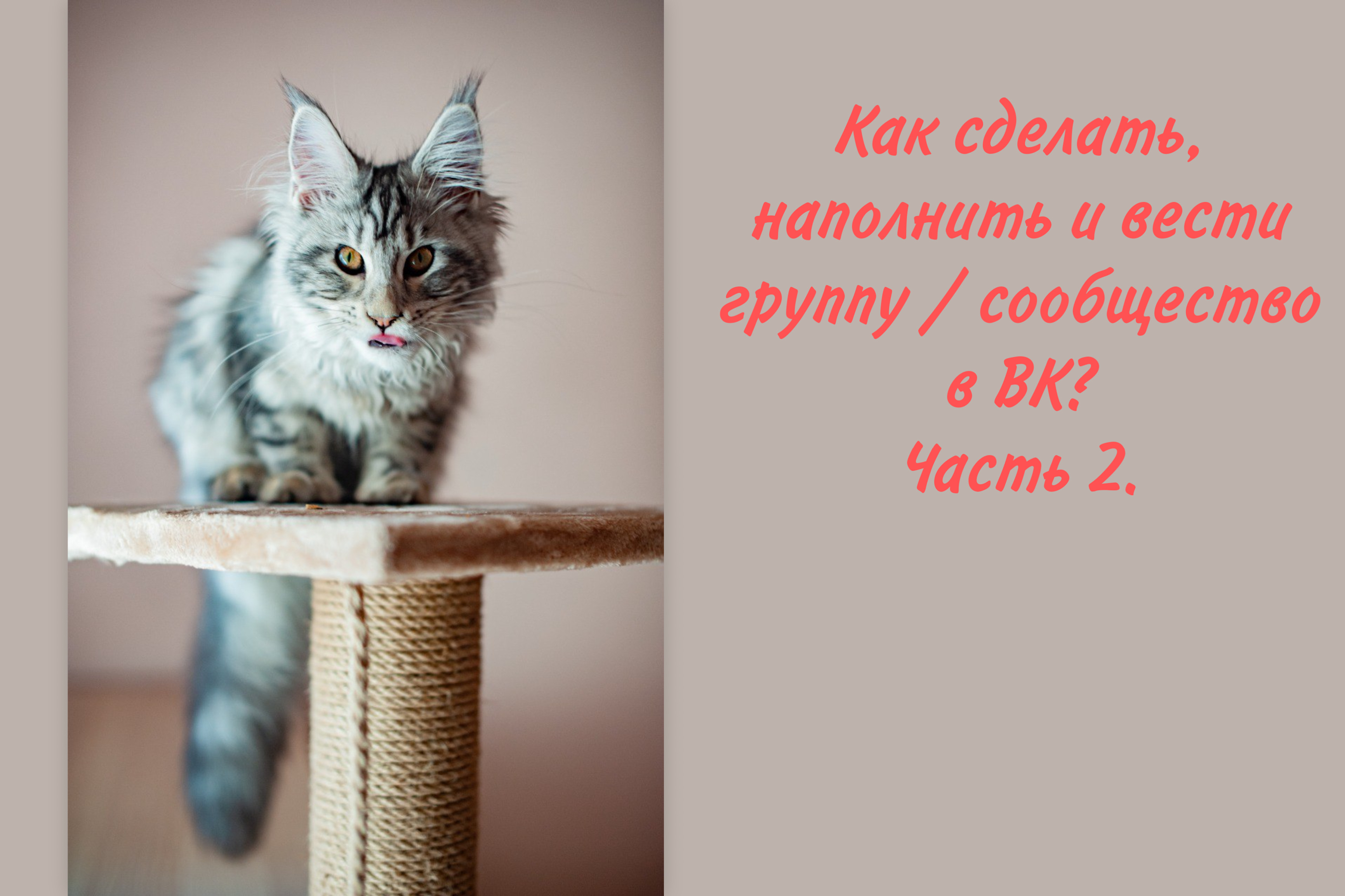 Как вести блог