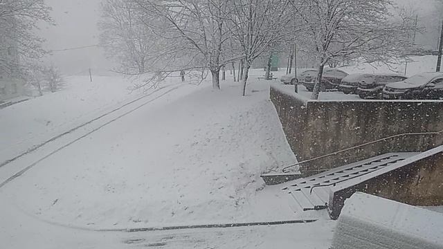 Минск 20240205 11:29