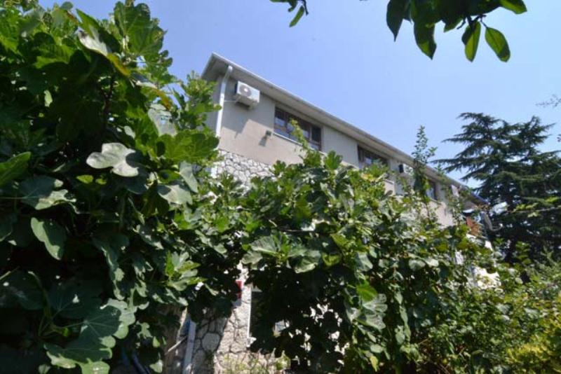 Абхазия Цандрипш отдых с детьми. Частный сектор в Цандрипше. «Розмарин» ГОСТЕВОЙ ДОМ