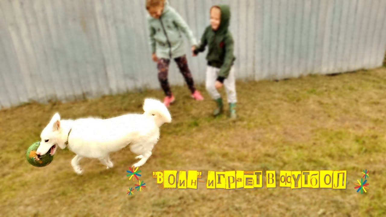 Воин играет в футбол