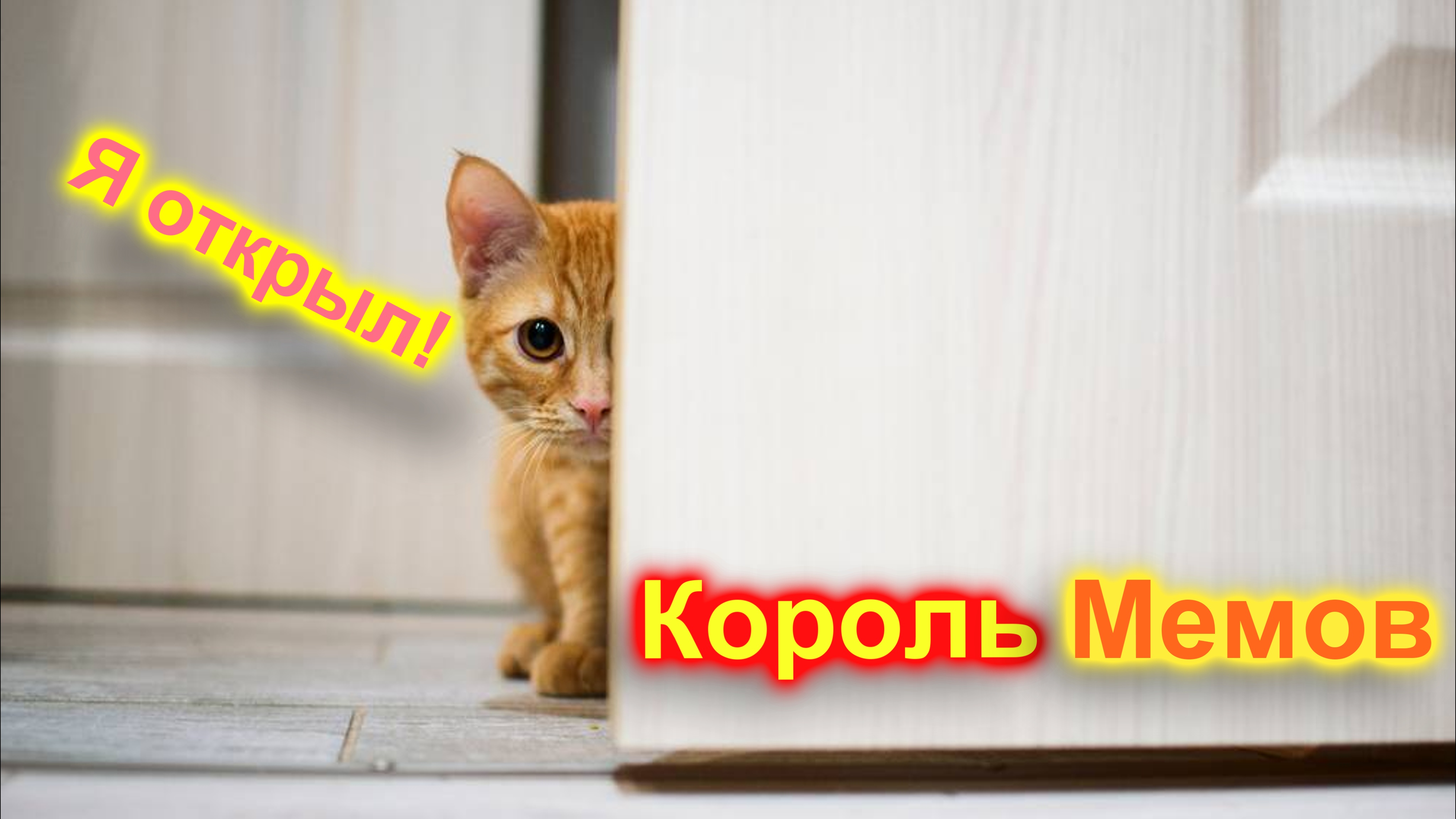 ПРИКОЛ С КОТОМ-самостоятельный кот открывает дверь/КОРОЛЬ МЕМОВ
