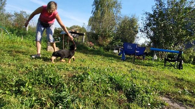 Гламур Брид'с Алмаз 2 месяца