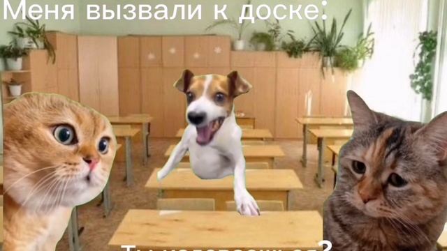 Мой понедельник самый тяжёлый день