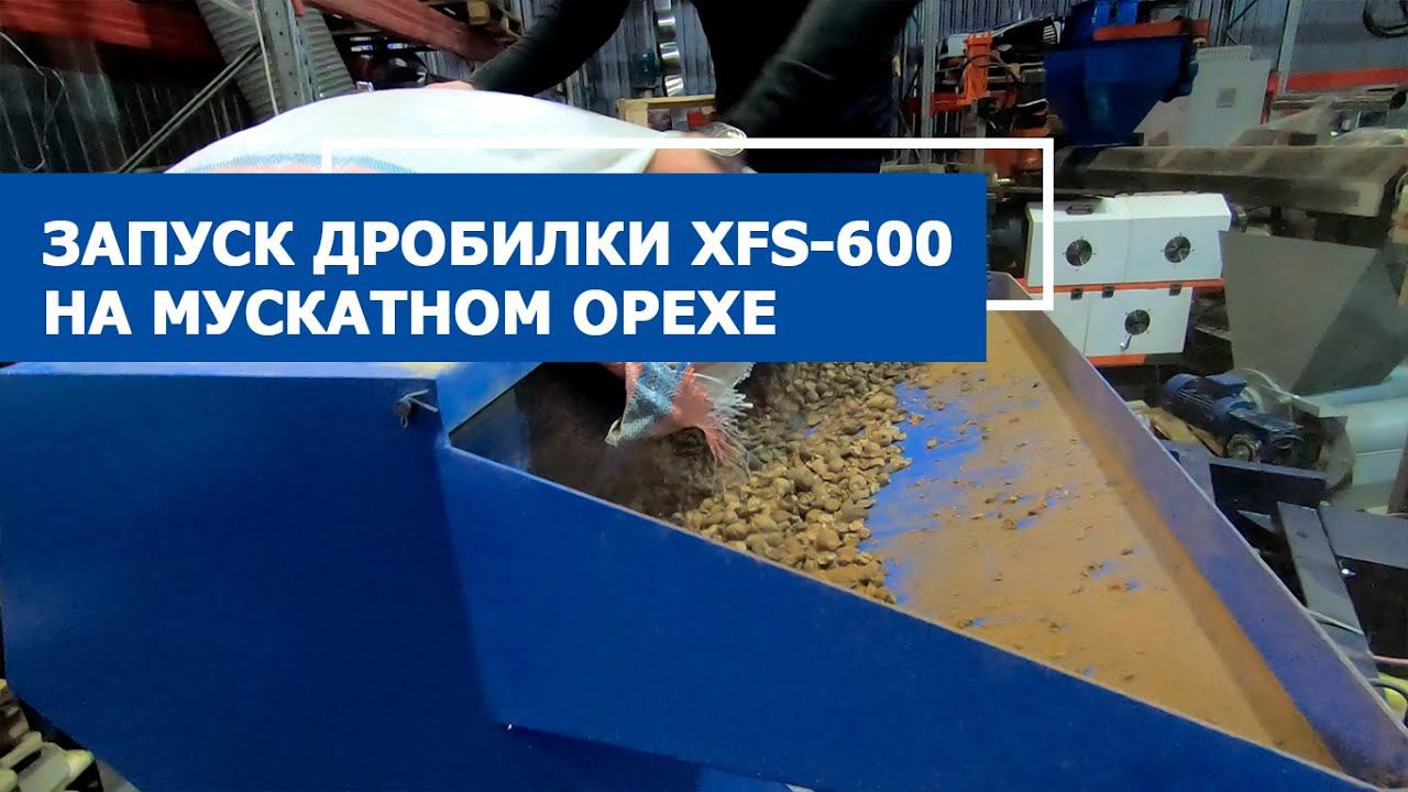 Запуск дробилки для пластика XFS-600 на мускатном орехе