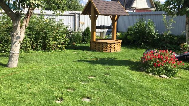 Дачный газон