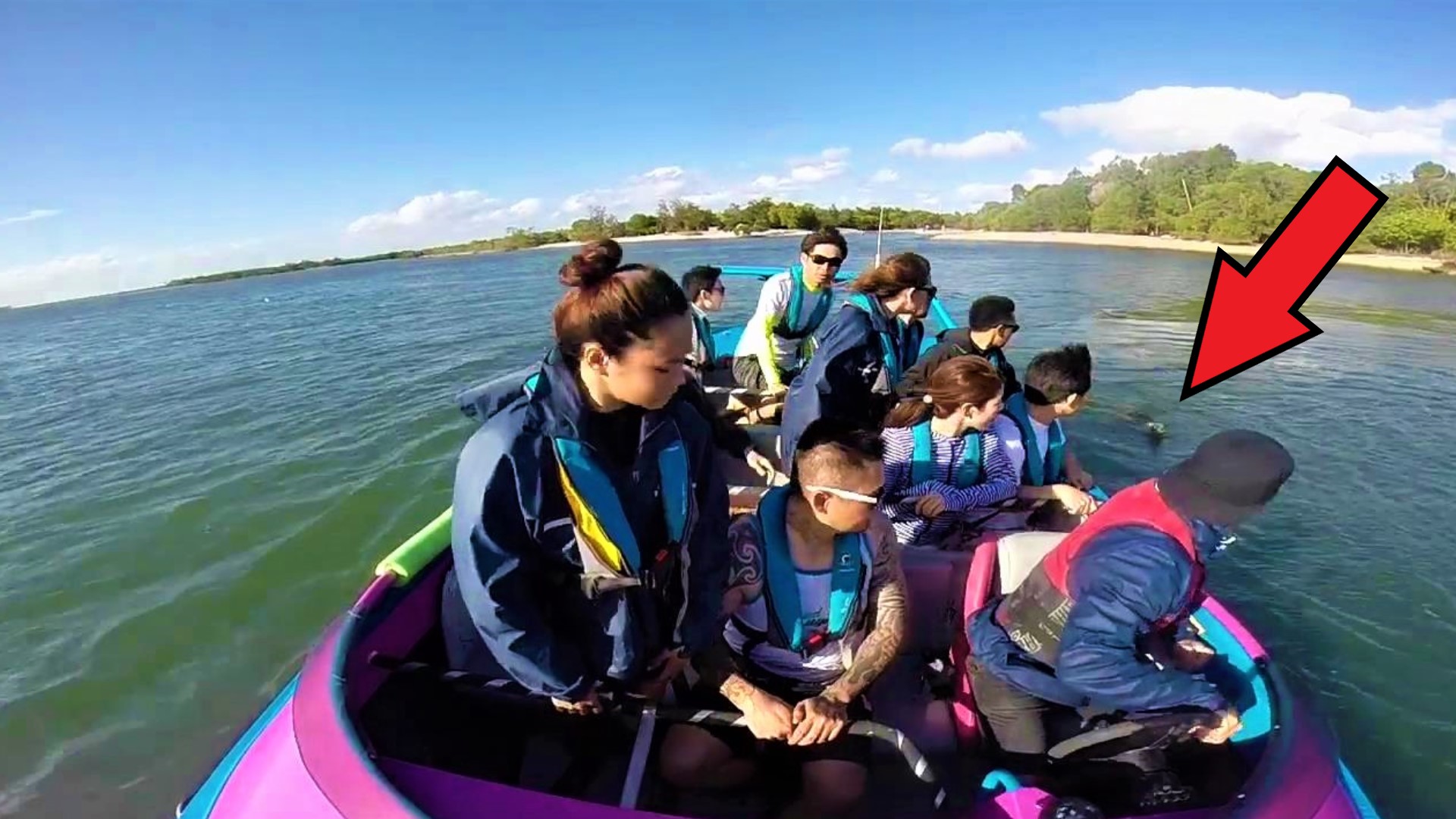 Туристы заметили в воде существо, которого там не должно быть! Подплыв к нему ближе, они...