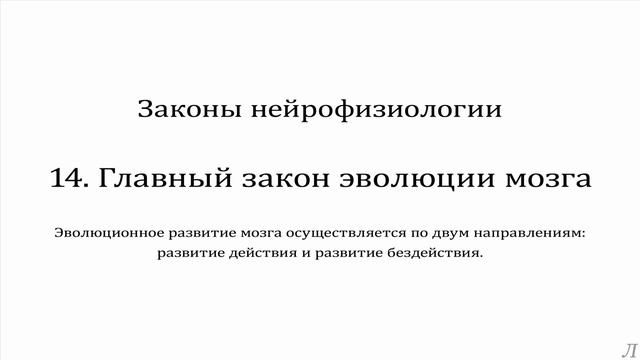 8.14 Законы нейрофизиологии. Главный закон эволюции мозга