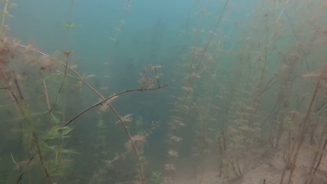 дайвинг озеро