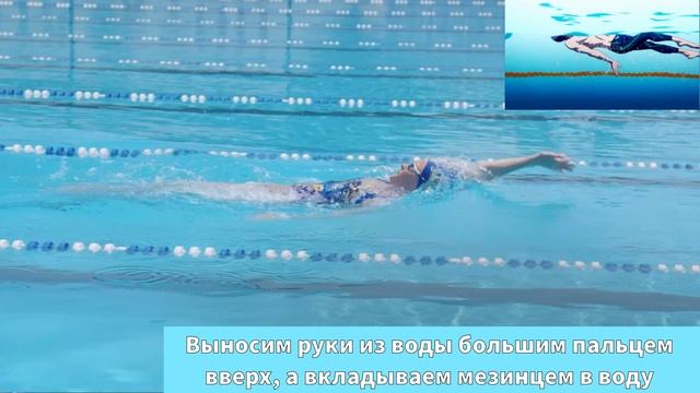 Кроль_на_спине_техника