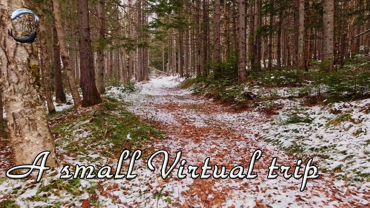 Прогулка по лесу после первого снега / Музыка для Медитации и Снятия стресса