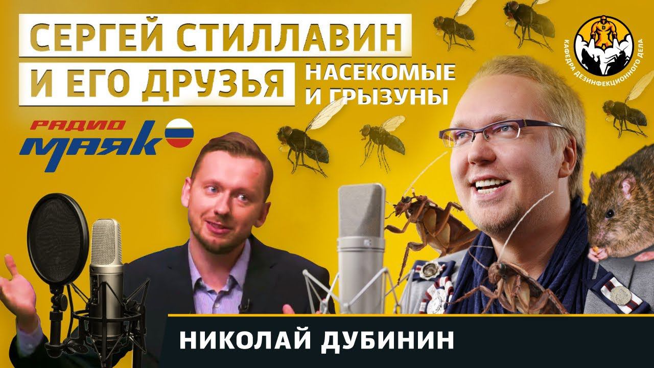 Борьба с насекомыми и грызунами в шоу Сергея Стиллавина @stillavin