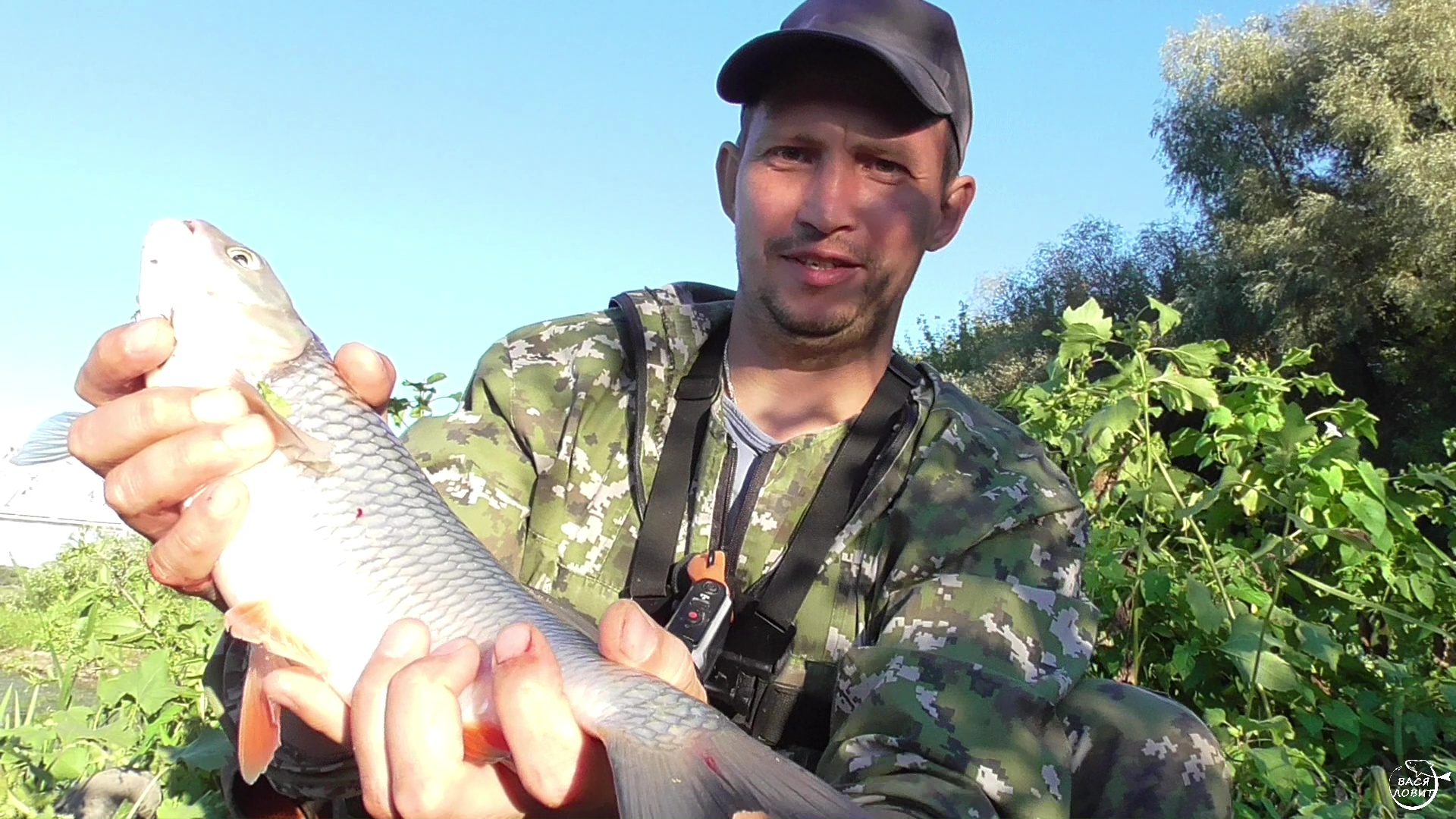 КАРАСЬ на пружины. р.Дон Сентябрь 2022