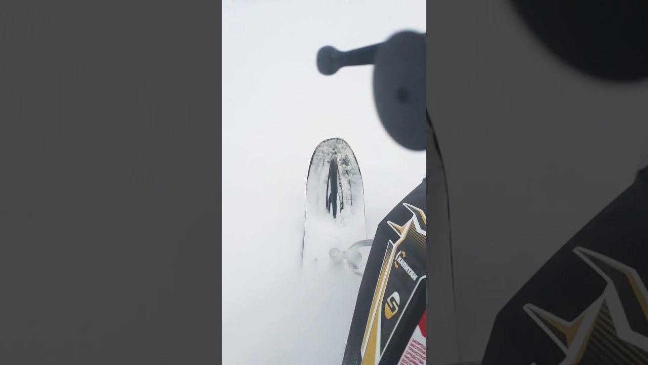 #shorts #stels #snegohod