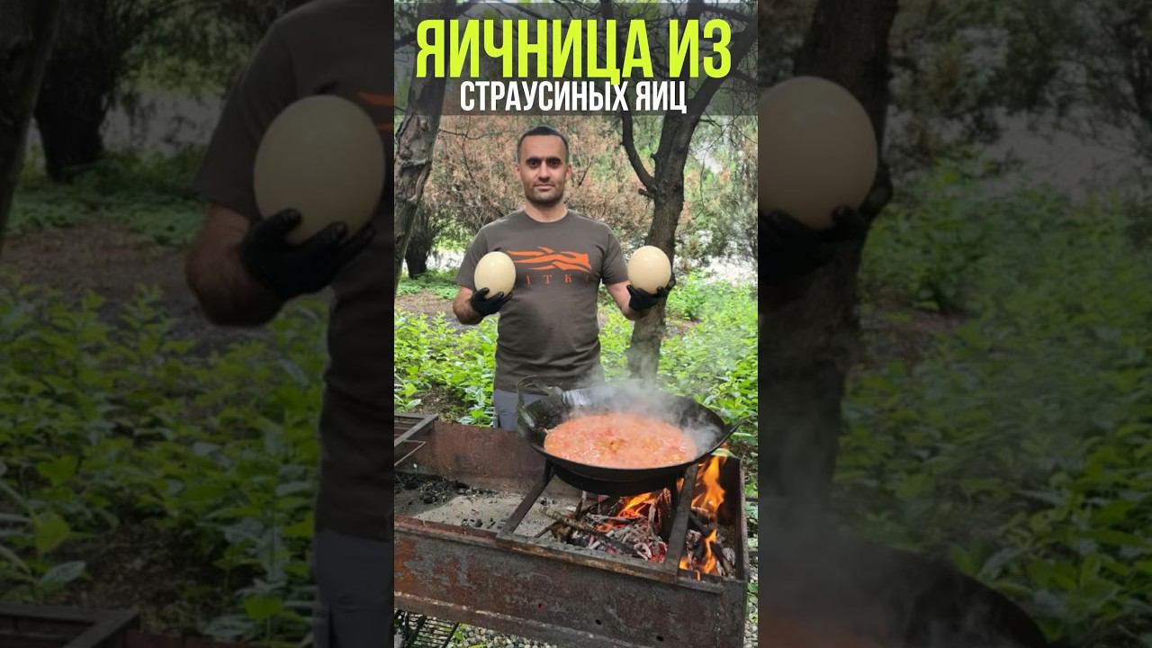 Готовим яичницу с овощами из страусиных яиц! #готовка #кулинария #страусы #яичница