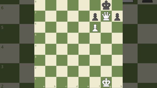 28. Помощь при мате