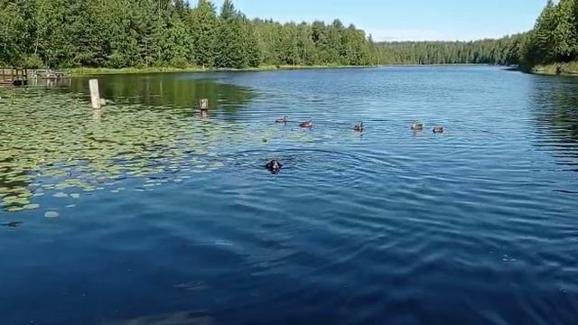 Эва на озере.