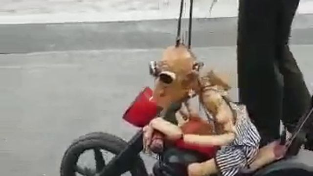 Motoqueiro engraçado